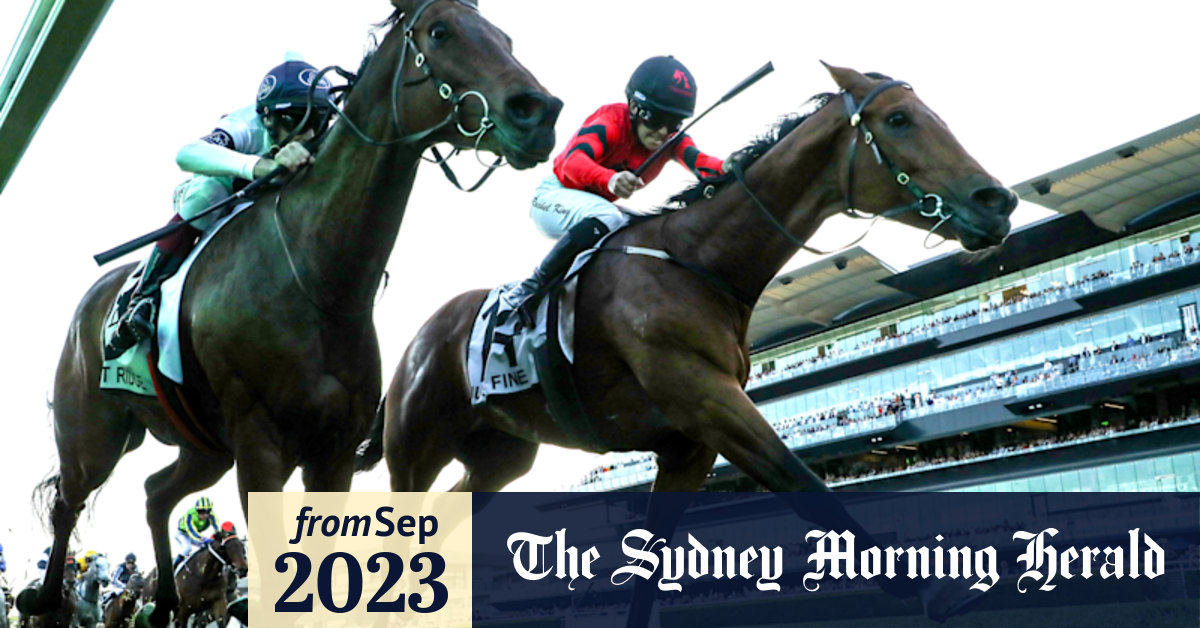 Racing 2023: Gai Waterhouse and Adrian Bott’s Tulloch Lodge springs ...
