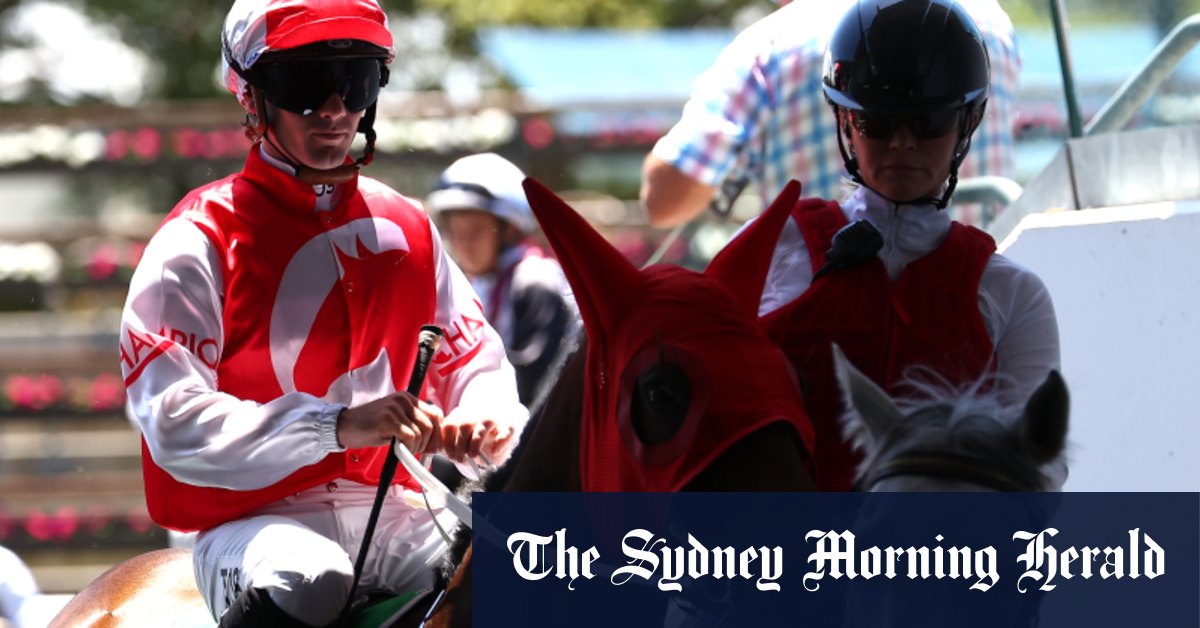 Racing 2024: Danielle Seib confident Denarau won’t make heavy going of ...