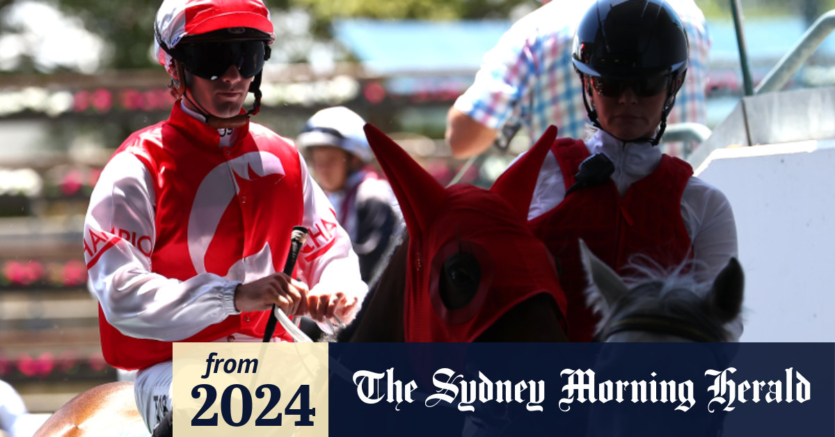 Racing 2024: Danielle Seib confident Denarau won’t make heavy going of ...