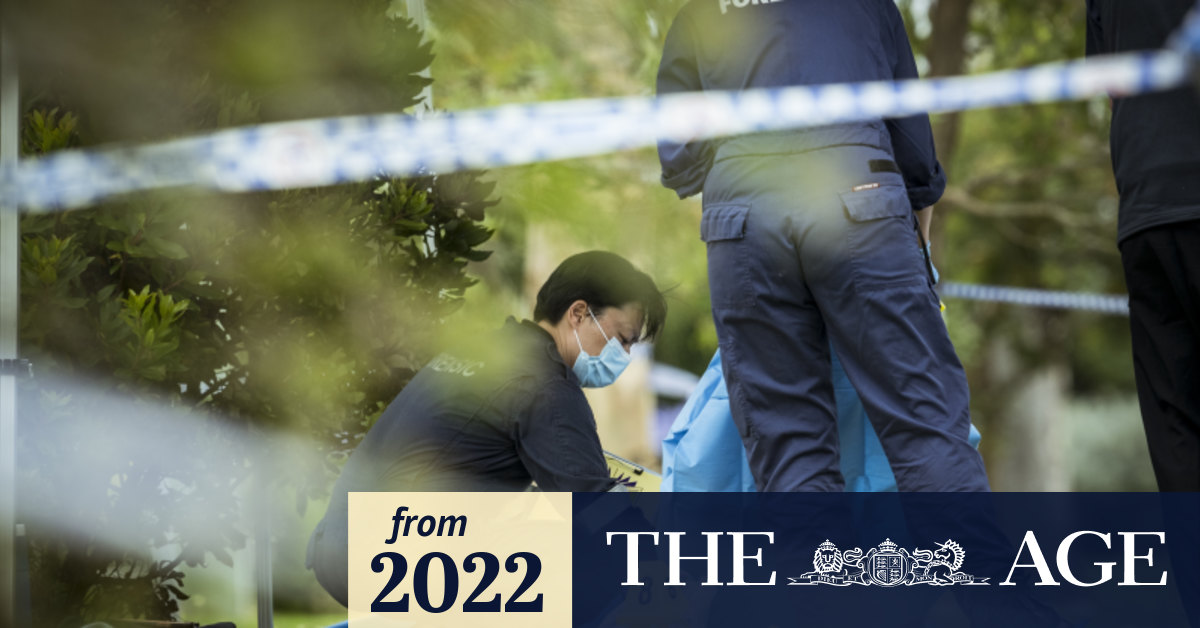 Man faces court over attempted murder charges after woman lit on fire ...