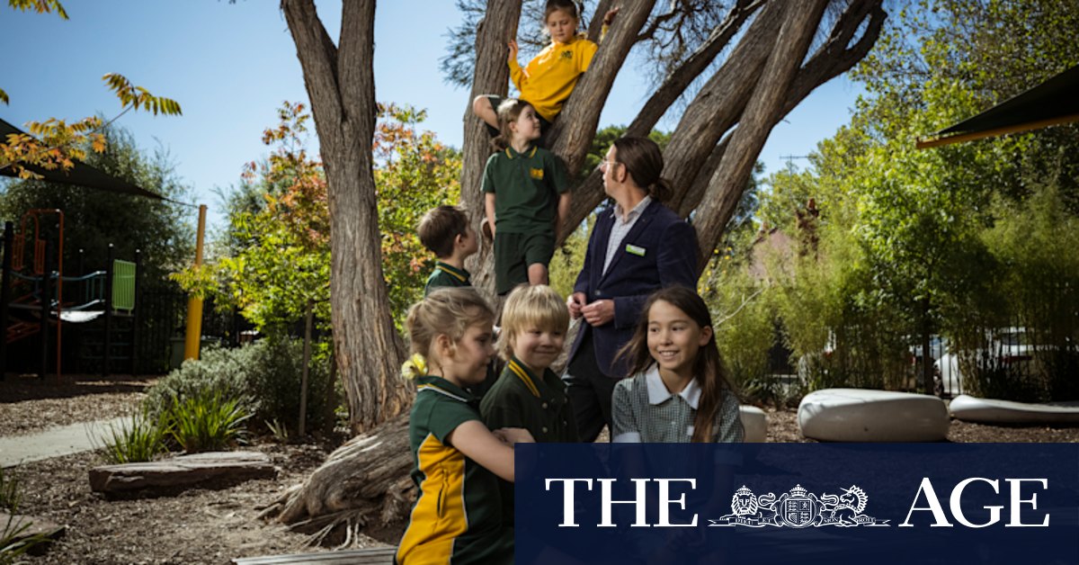 State school uniforms to ditch branding requirements for shorts, pants ...