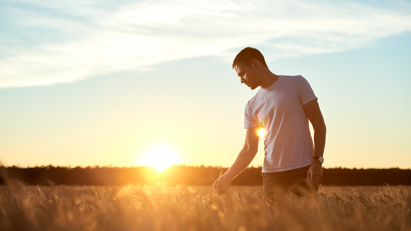 Archie Rose whisky launches tailor-made program with single grain malt