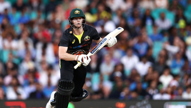 Seven and Cricket Australia finally agree on an 'umpire'