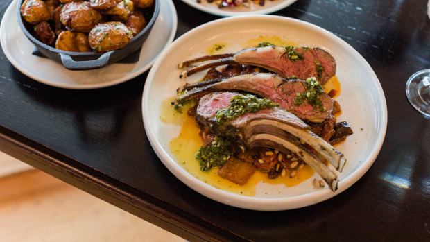 Killimicat | Latest News Headlines | The Sydney Morning Herald