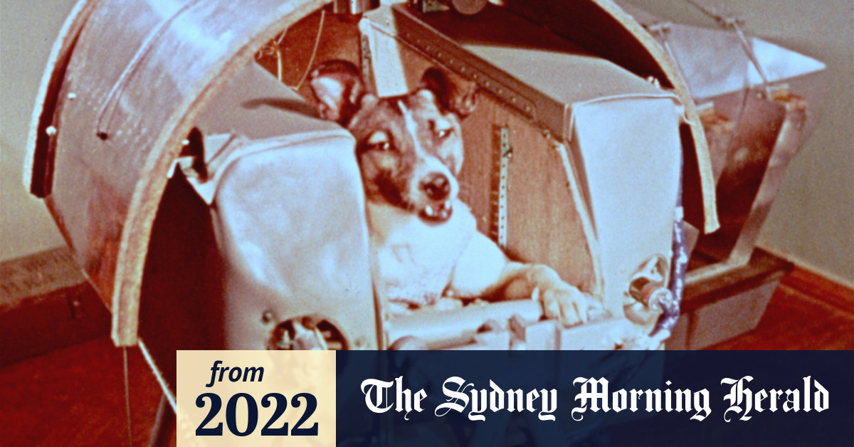 From the Archives, 1957: First dog in space