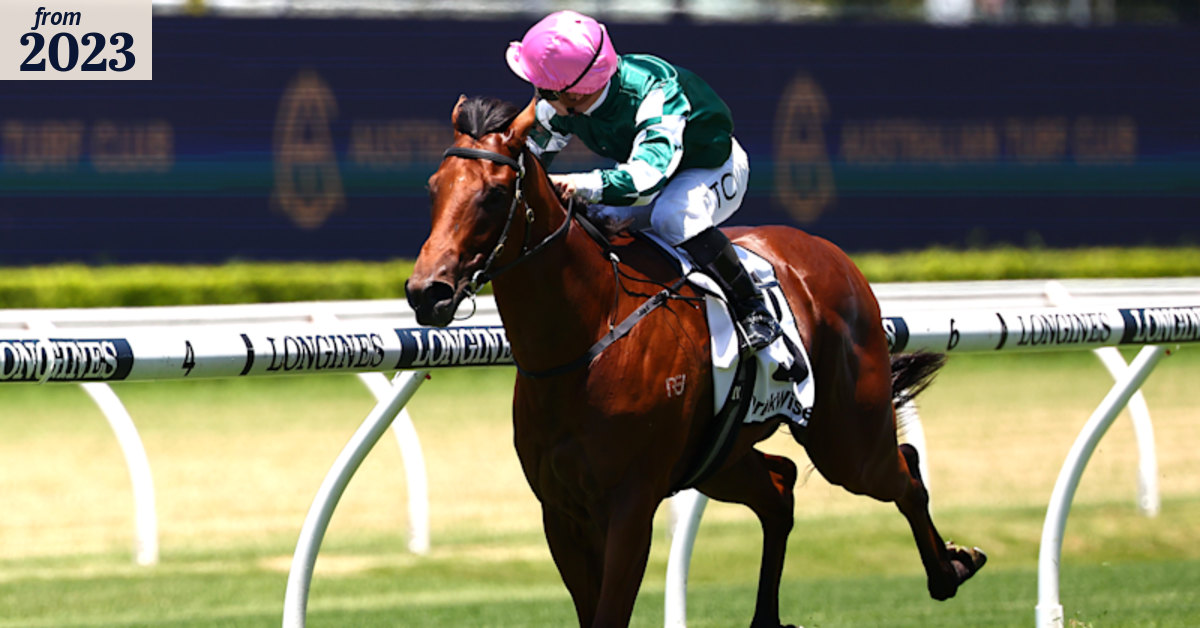 Tulloch Lodge two-year-old charges straight into Magic Millions favouritism