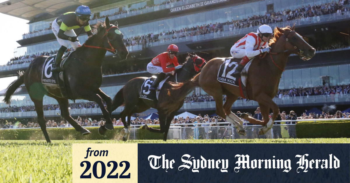 Spring racing 2022: Racing NSW and Racing Victoria must work together ...