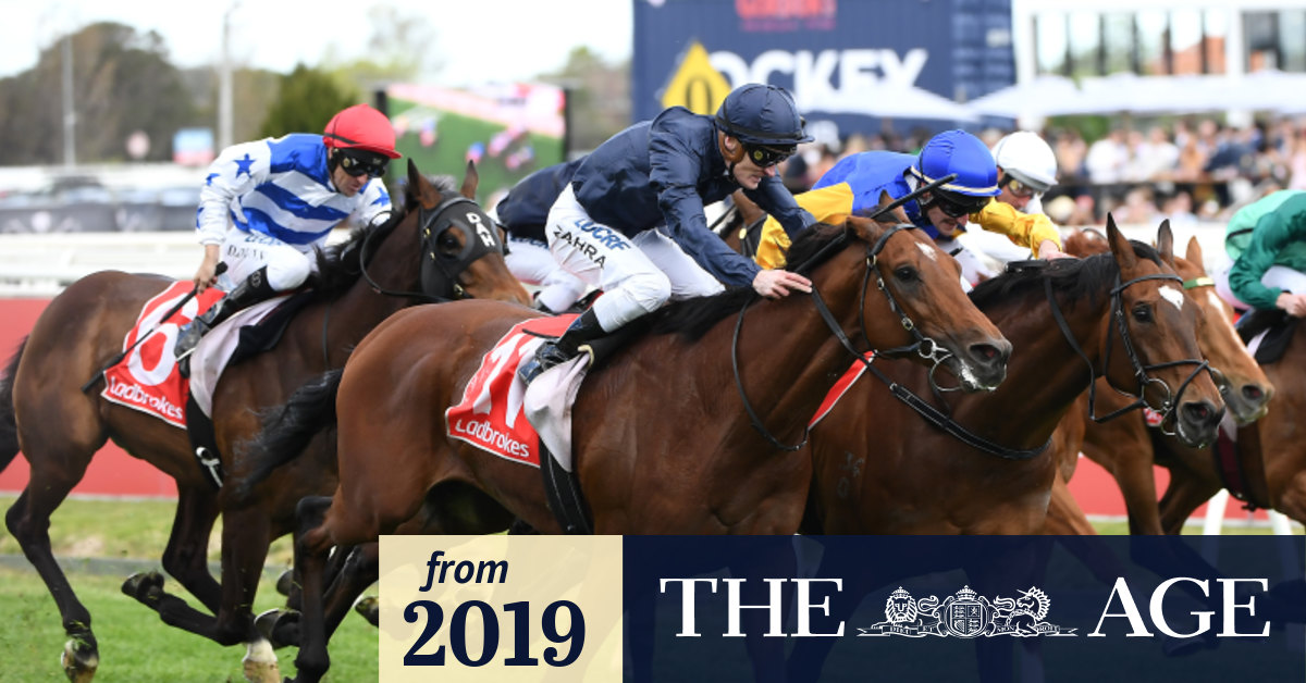 Hayes might get a Cox Plate and a Melbourne Cup from two-for-one deal