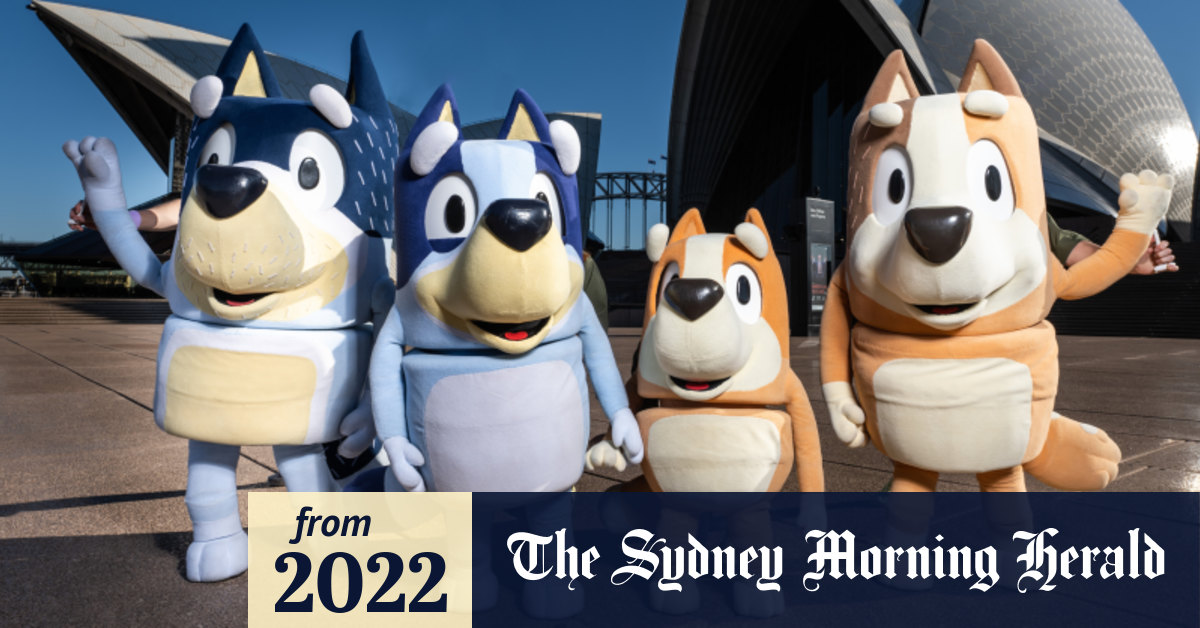 Bluey TV show: from kids’ entertainment to a global merchandising machine