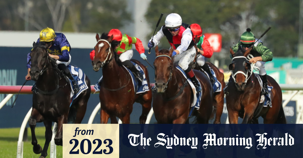 Horsepower to the people: Grebeni taking mob of owners on joy ride