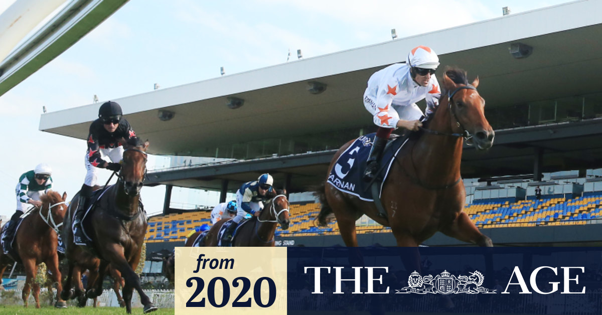 Racing officials probe horse racing outfit over cryptocurrency scam