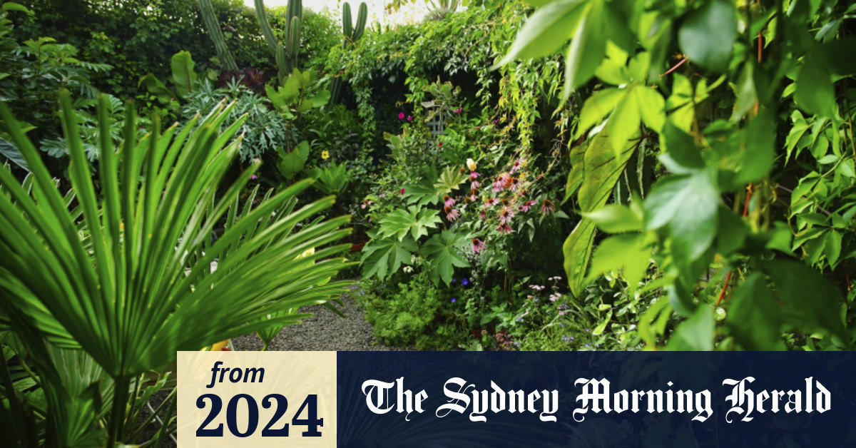 Small space, big dreams: How to make the most of a tiny backyard