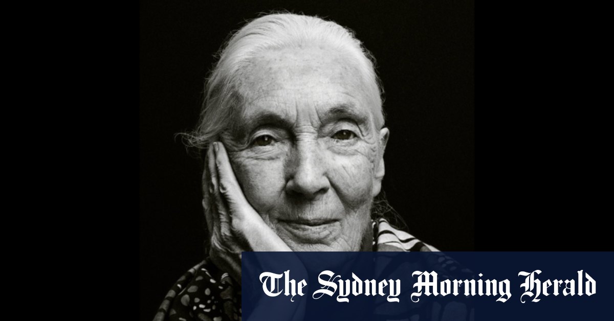 Dr Jane Goodall interview: looking back at her career studying ...