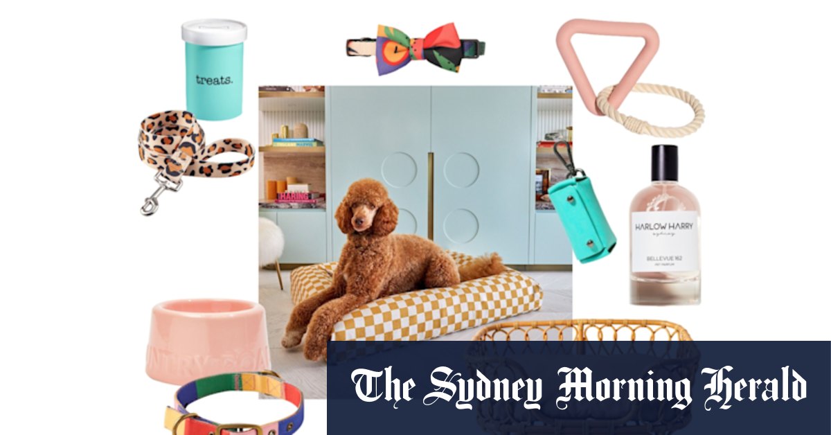 The must-have accessories for your pet