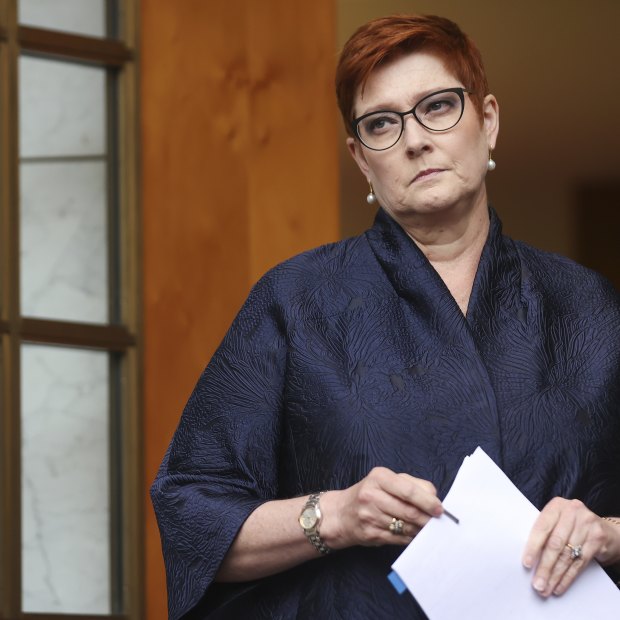 Pressure points for Marise Payne on both portfolio fronts