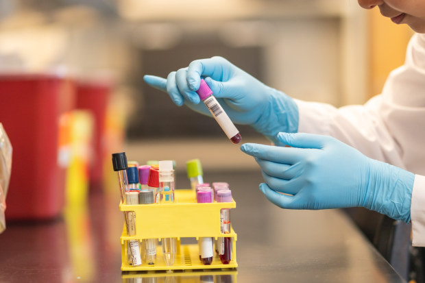 HLS ASX: Pathology group Healius is restructuring management and ...