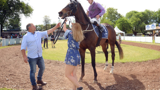 Big dreams for big Harry