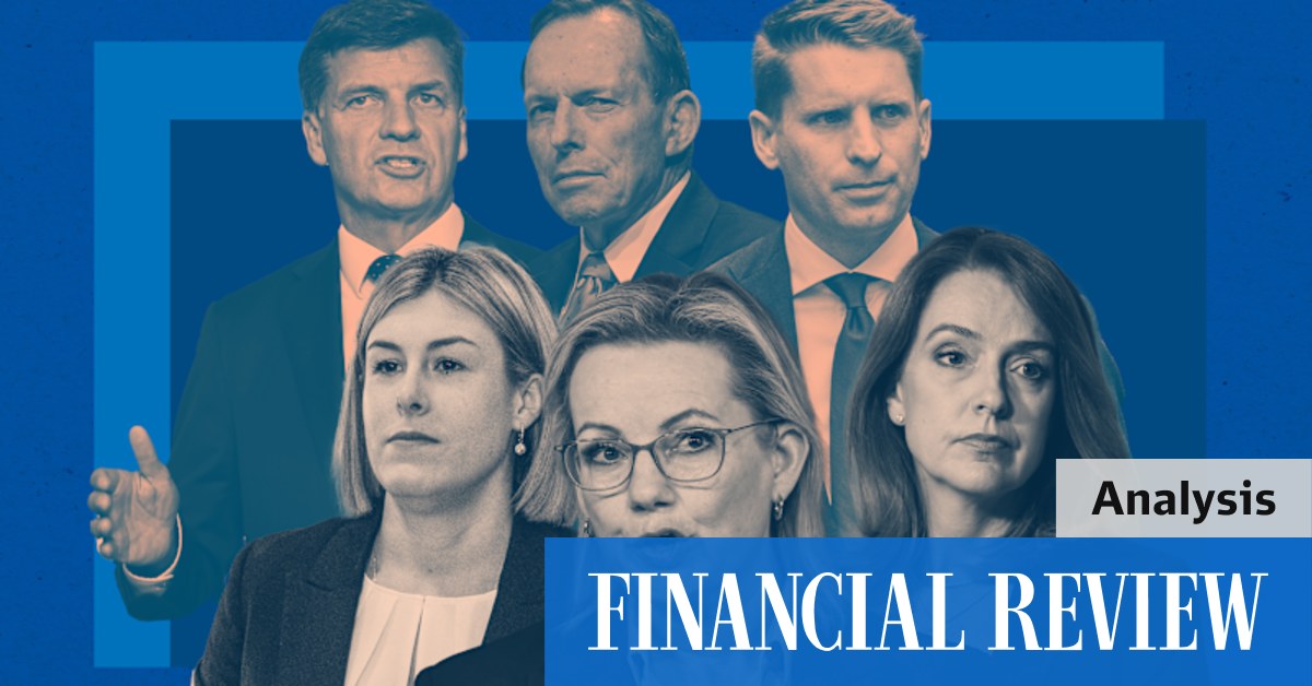 Liberal women like Sussan Ley and Victorian leader Jess Wilson inherit ...
