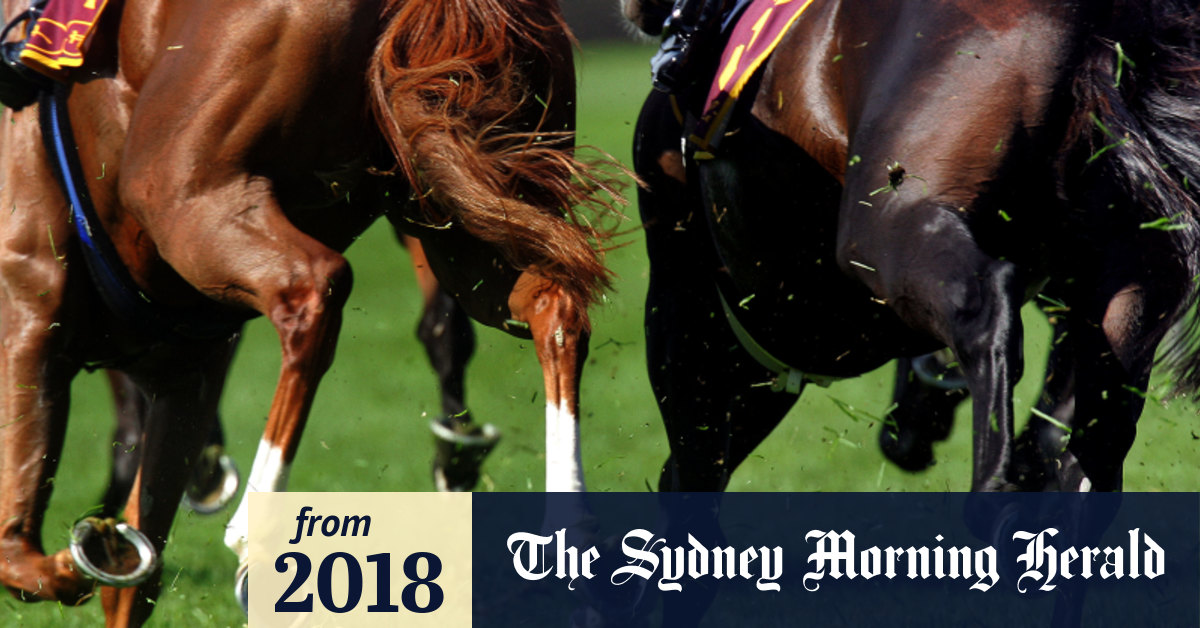 Banks' spring racing season begins with horse-trading on rates