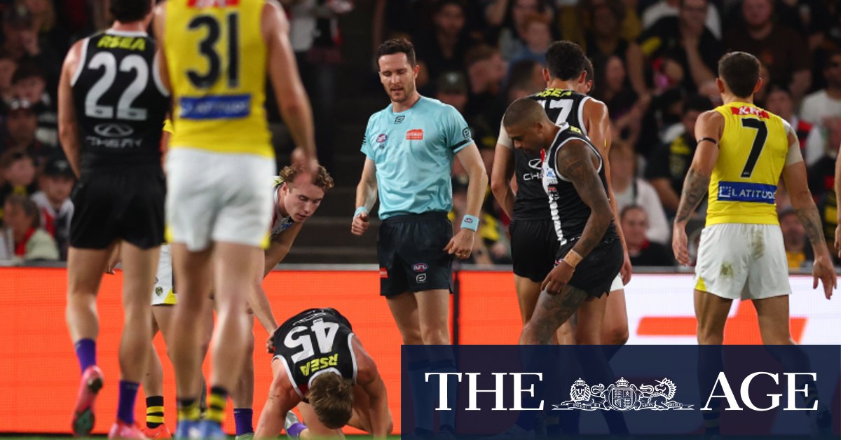 AFL 2025: Ban stands for Rhyan Mansell; Injury heartbreak for Essendon ...