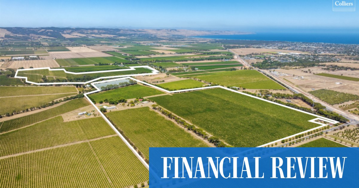 Warren Randall snaps up McLaren Vale boutique vineyard, Hiltop