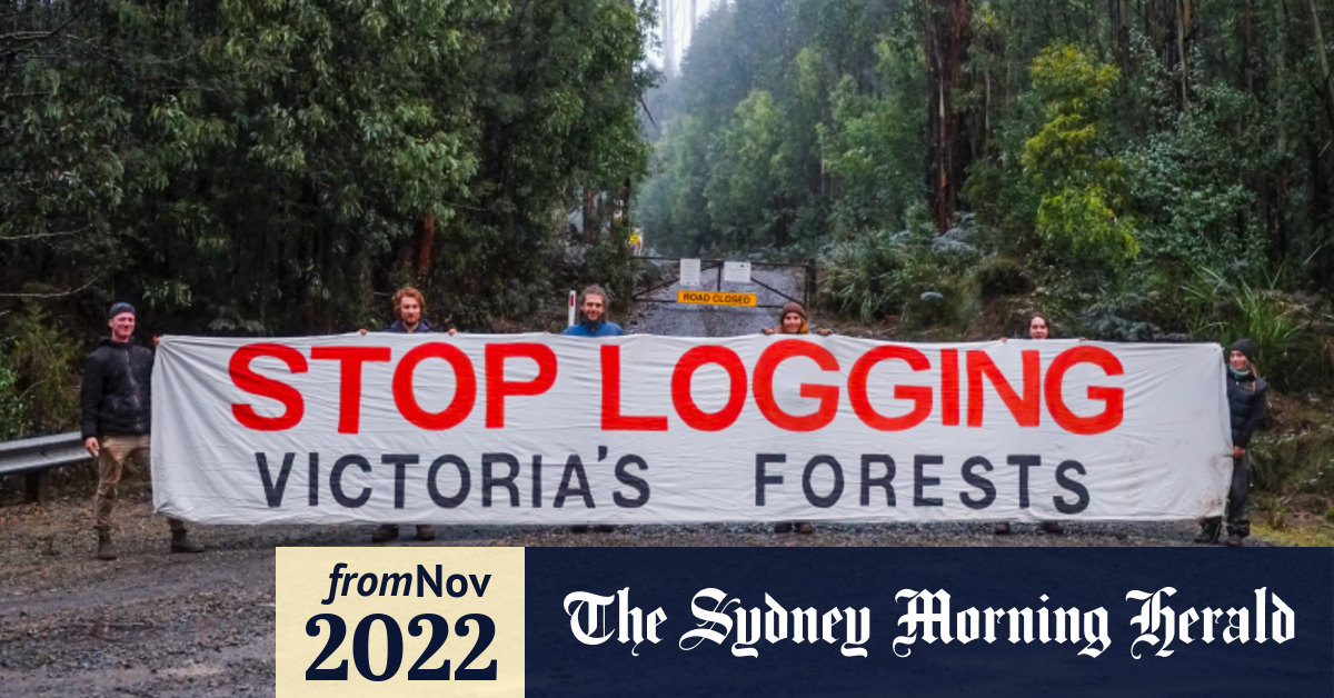 Forestry: Teals demand federal government scrap carve-out for native ...