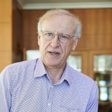 Mining: Collapsed Pilbara gold miner Calidus launches $170m placement