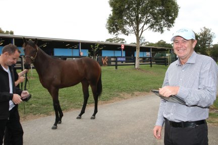 Even Mulcaster's wildest dream couldn't have imagined Winx