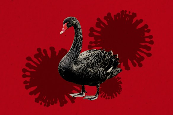 Deadly bird flu puts 100 species of Australia’s ‘isolated’ wildlife at ...