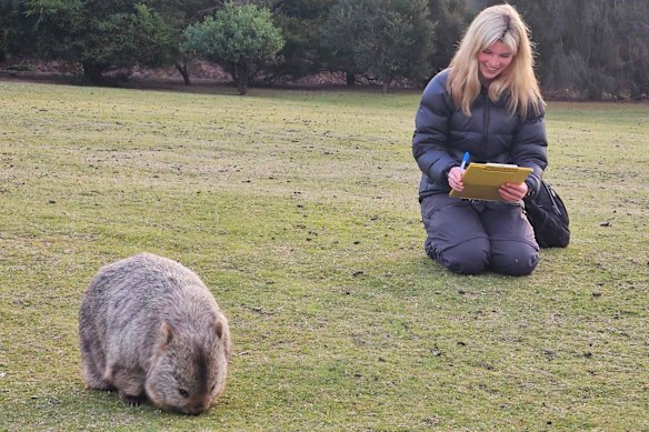 Wombat poo: Scientists discover why their droppings are cube-shaped