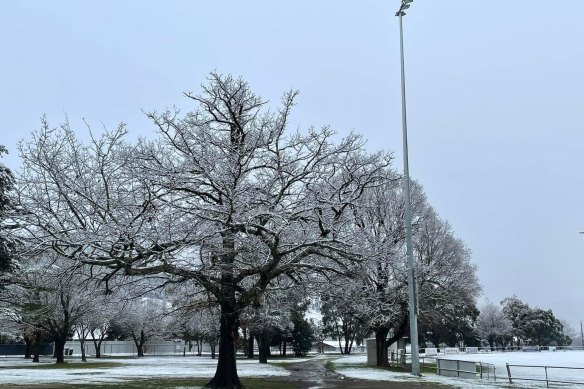 Victoria weather: Sunny days on horizon after late winter blast