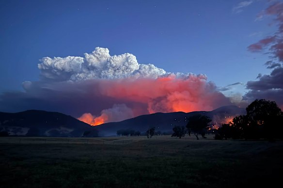Victoria bushfires: Scientists question effectiveness of hazard ...