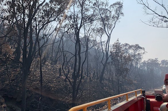 Victoria heatwave as it happened: State swelters through record ...