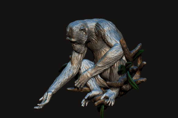 A massive chimpanzee is coming to Melbourne