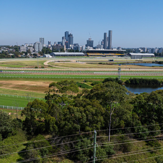Rosehill Racecourse development: What is it really like on race day?