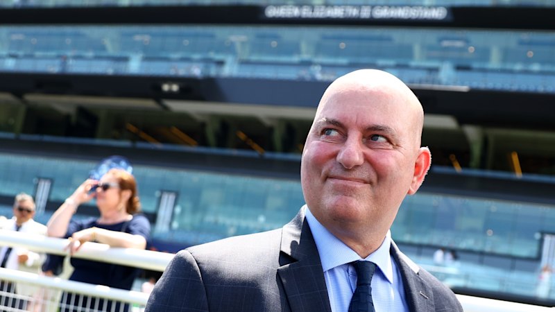 Trainer hopeful gelding has turned the corner