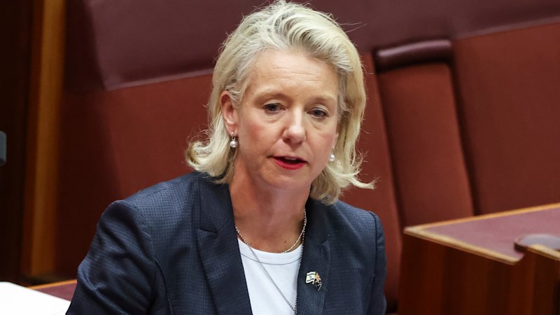 Coalition split: Nationals senators McKenzie and Cadell face job losses