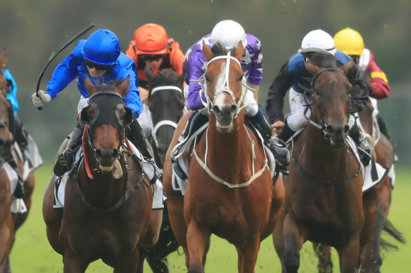 Ranier gets tongues wagging with last-stride Festival win