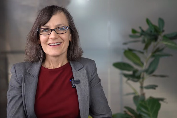 Federal election 2025: Labor set to replace Stephen Jones with ...