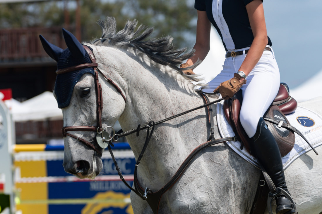 Magic Millions: Gerry Harvey and Katie Page give showjumping a $1.45 million cash injection