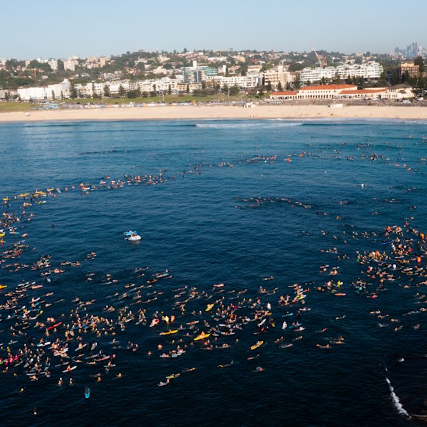 Water Minister Rose Jackson: Why Bondi is the best beach