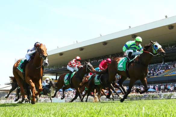 Race-by-race preview and tips for Narromine on Sunday