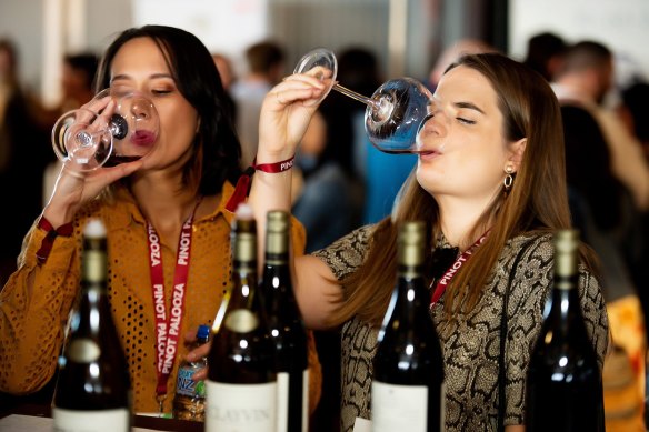 Grape expectations for pinot noir festival’s return