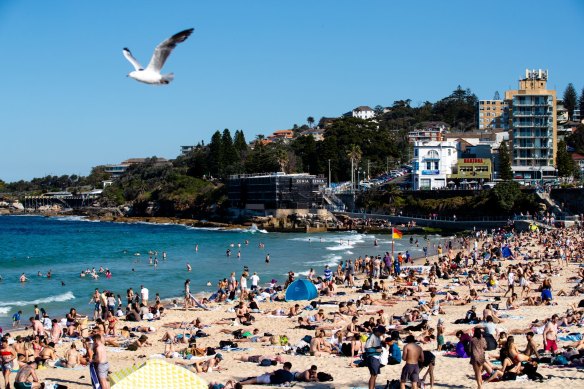 Very poor: Sydney’s most polluted swimming spots revealed