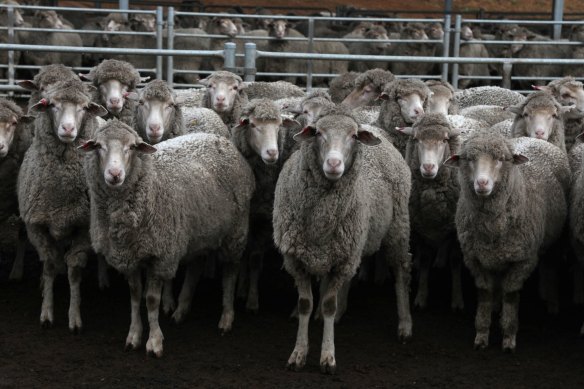 Perth news live: Serial sex offender Garry Narkle in limbo; CCI on ...