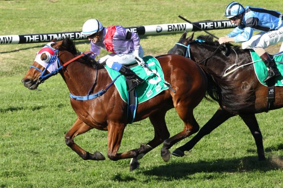 Kensington races Tuesday: Spriggs ready to make headway with Headwall