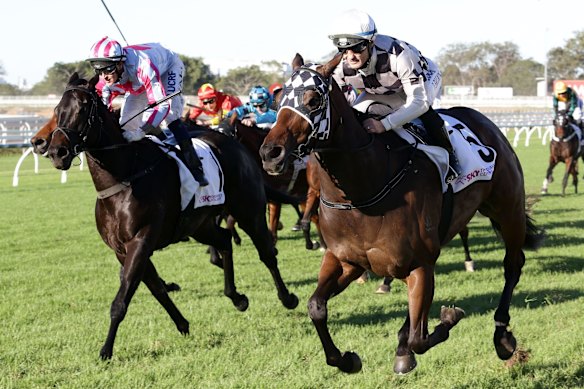 Azkadellia in pre-training ahead of potential return to racing