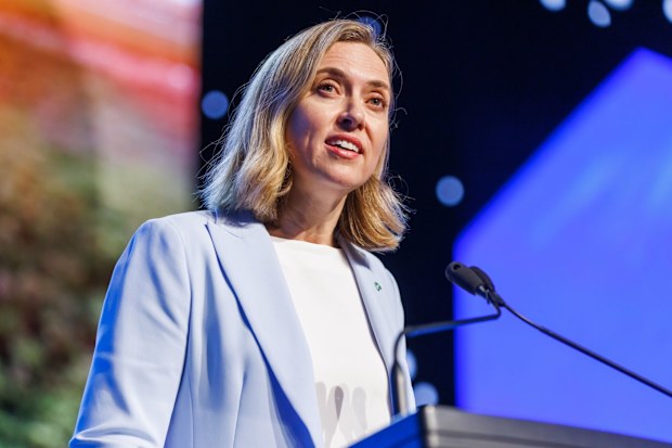 Barrenjoey appoints former Fortescue CEO Fiona Hick as non-executive ...
