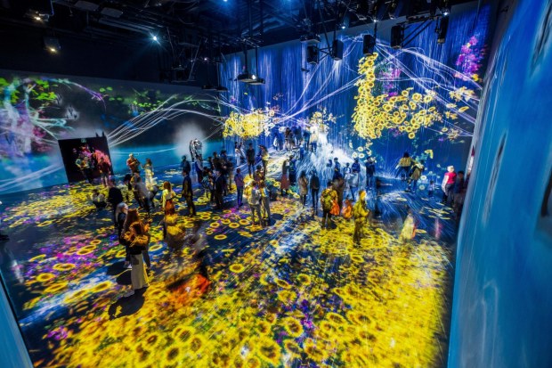 AI and digital transformation: Digital capitalism is making government ...