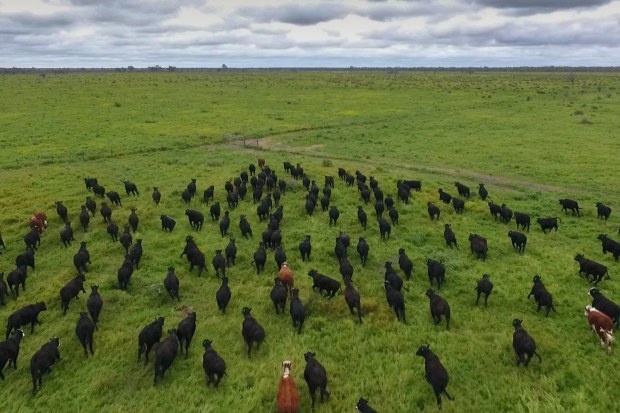 Paraway Pastoral sale: Macquarie seeks $3 billion for Australia's ...